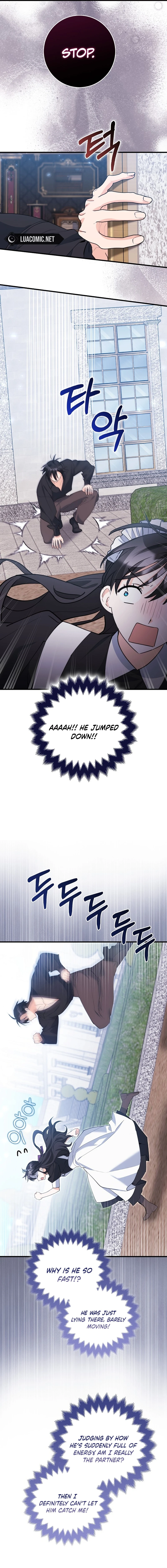 The Crazy Killer Whale’s Favourite Penguin - Chapter 39